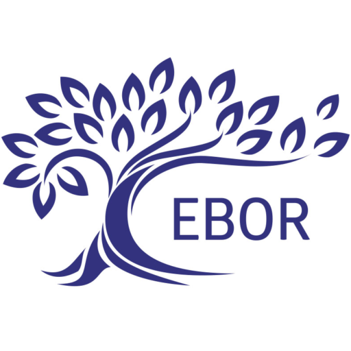 Tockwith Church of England Primary Academy » 2026 » February » 13