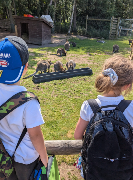 Tockwith Church of England Primary Academy » Y1/2 Trip to Yorkshire ...